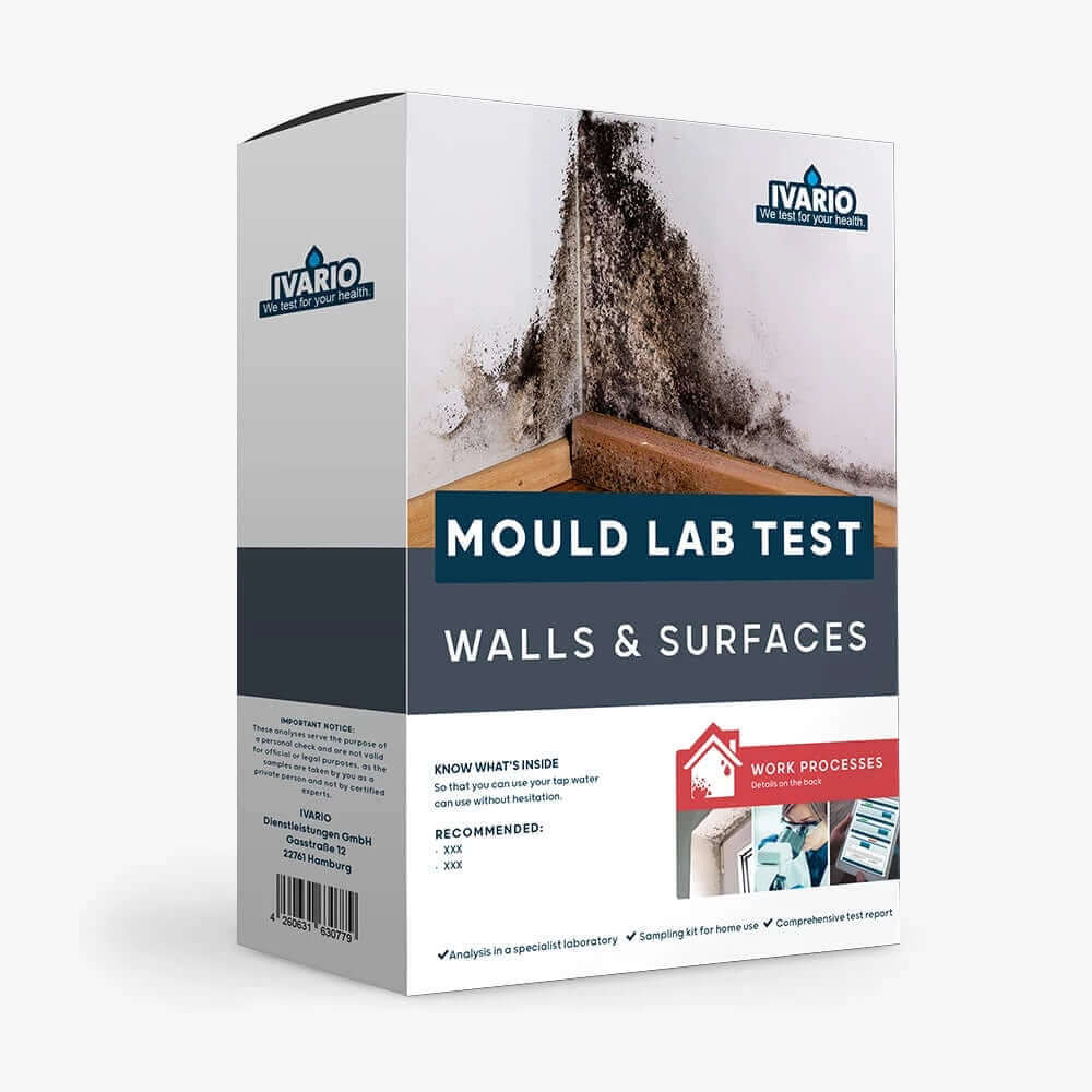 Walls and Surfaces Mould Test | Professional Lab Testing | IVARIO